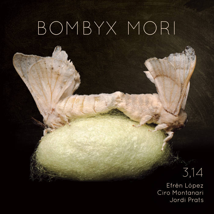 Bombyx Mori: CD Review - classikON
